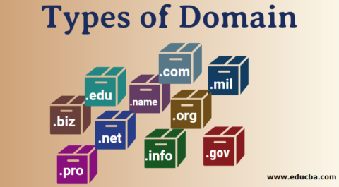 Jenis-jenis Domain Country Code (ccTLD): Contoh dan Penggunaannya ...